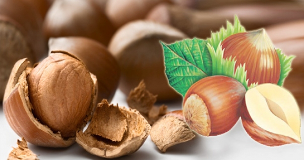 Fındık Nedir? Fındığın Faydaları Nelerdir? » Bilgiustam