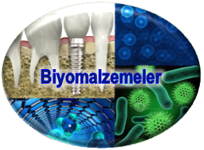 Manyok Kökü Nedir? Manyok Kökünün Faydaları, Yan Etkileri ve Besin ...
