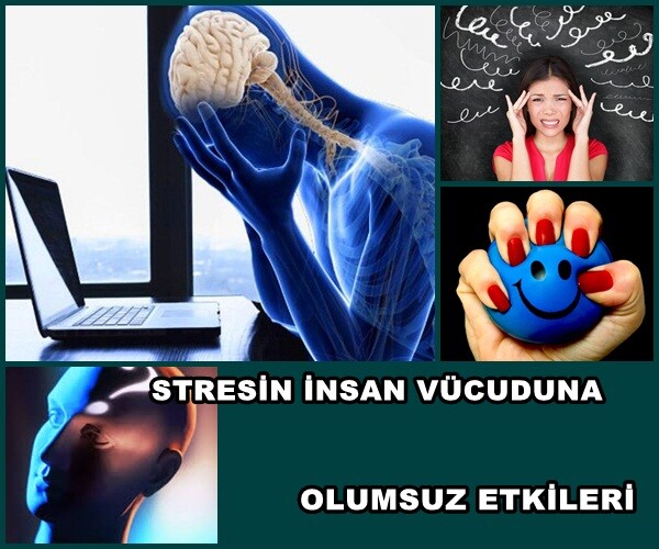 Stresin İnsan Bedenine Olan Etkileri » Bilgiustam