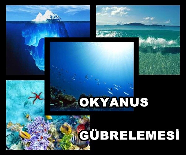 Okyanus Gübrelemesi Nedir? » Bilgiustam