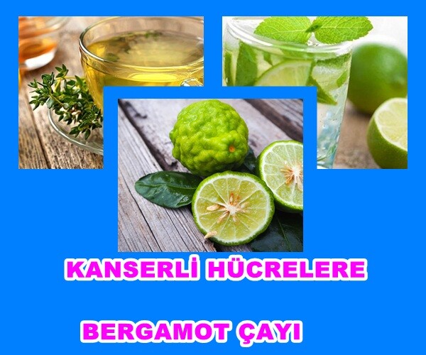 Kezzap Nedir? Etkileri Nelerdir? » Bilgiustam