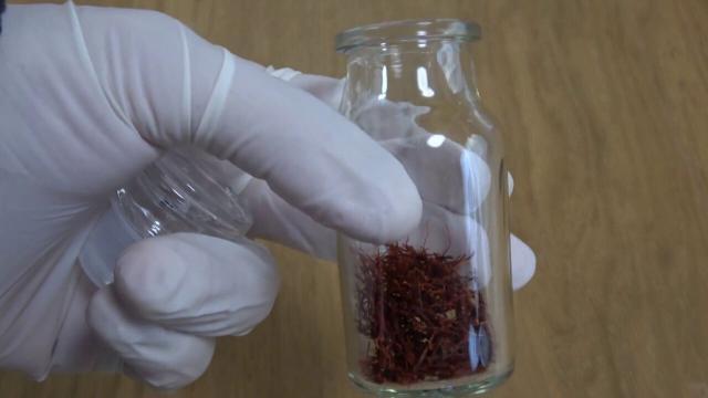 Safran Çayı Nedir? Faydaları ve Kullanım Alanları Nelerdir? » Bilgiustam