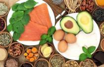 Gamet Nedir? » Bilgiustam