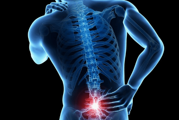 Lomber Vertebra Nedir? » Bilgiustam